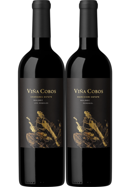 Vina Cobos Malbec Single Vineyard 2019 2-Pack | Watson's Wine