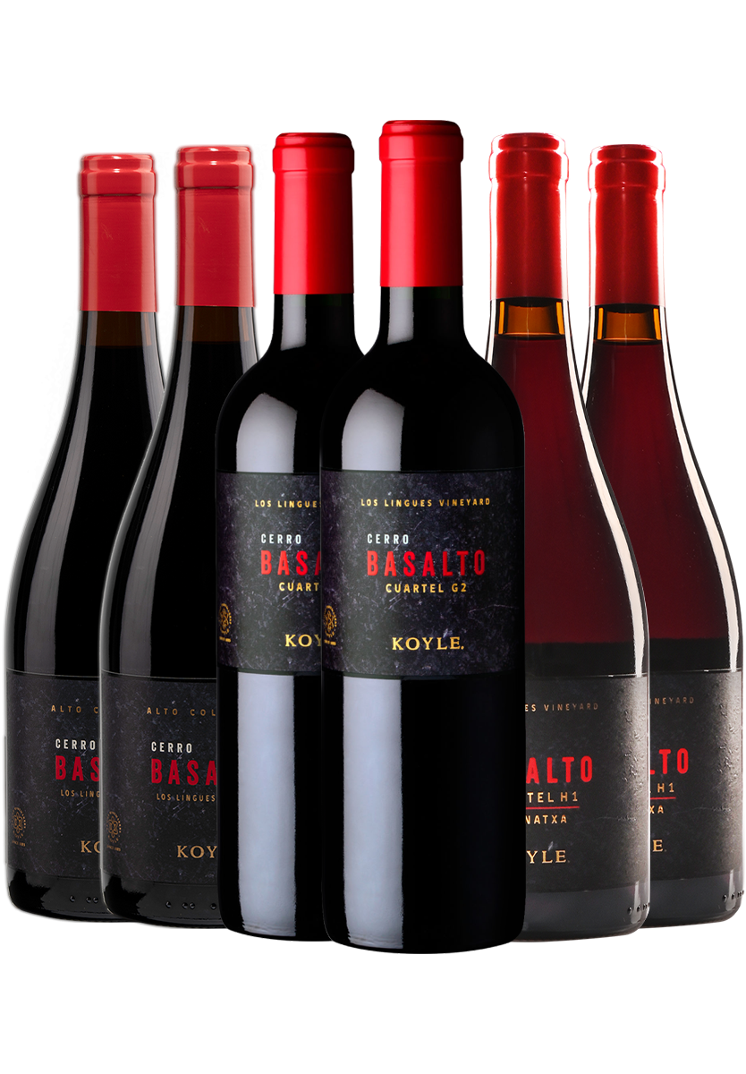 Buy Koyle Koyle Explorer Pack | Watson's Wine