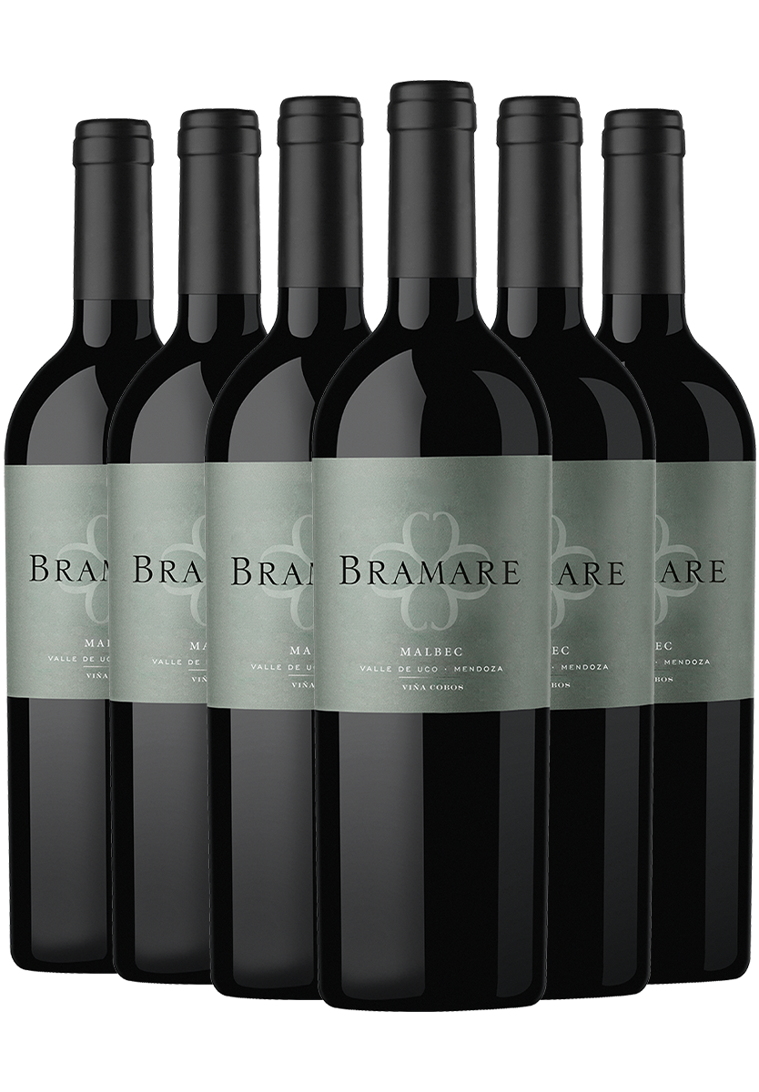 Buy Vina Cobos Bramare Valle De Uco Malbec 2019 - 6 Bottle Pack ...
